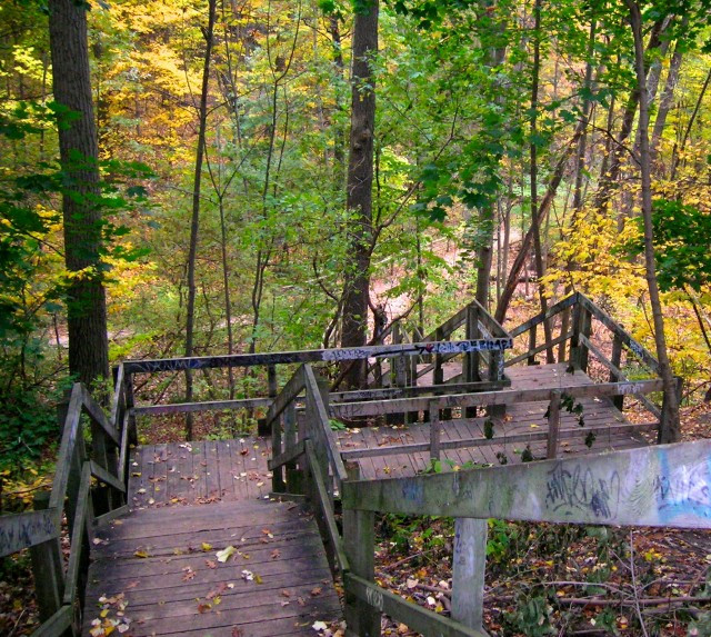 多伦多秋季十大最美赏枫地（图文攻略）_无忧资讯
