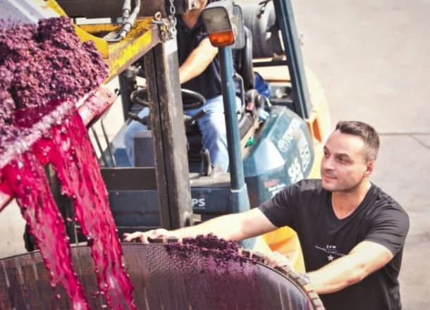 中国对澳葡萄酒征反倾销税 全澳酒商叫苦_无忧资讯