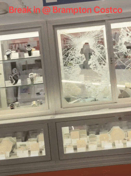 多伦多Costco众目睽睽下遭疯狂"洗劫"+暴力砸抢！员工受伤_无忧资讯