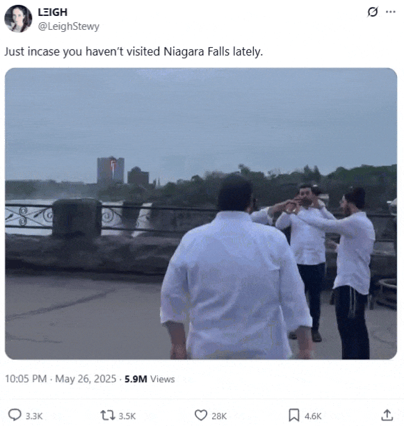 尼亚加拉大瀑布被印度人"占领"！网友发视频吐槽！_无忧资讯